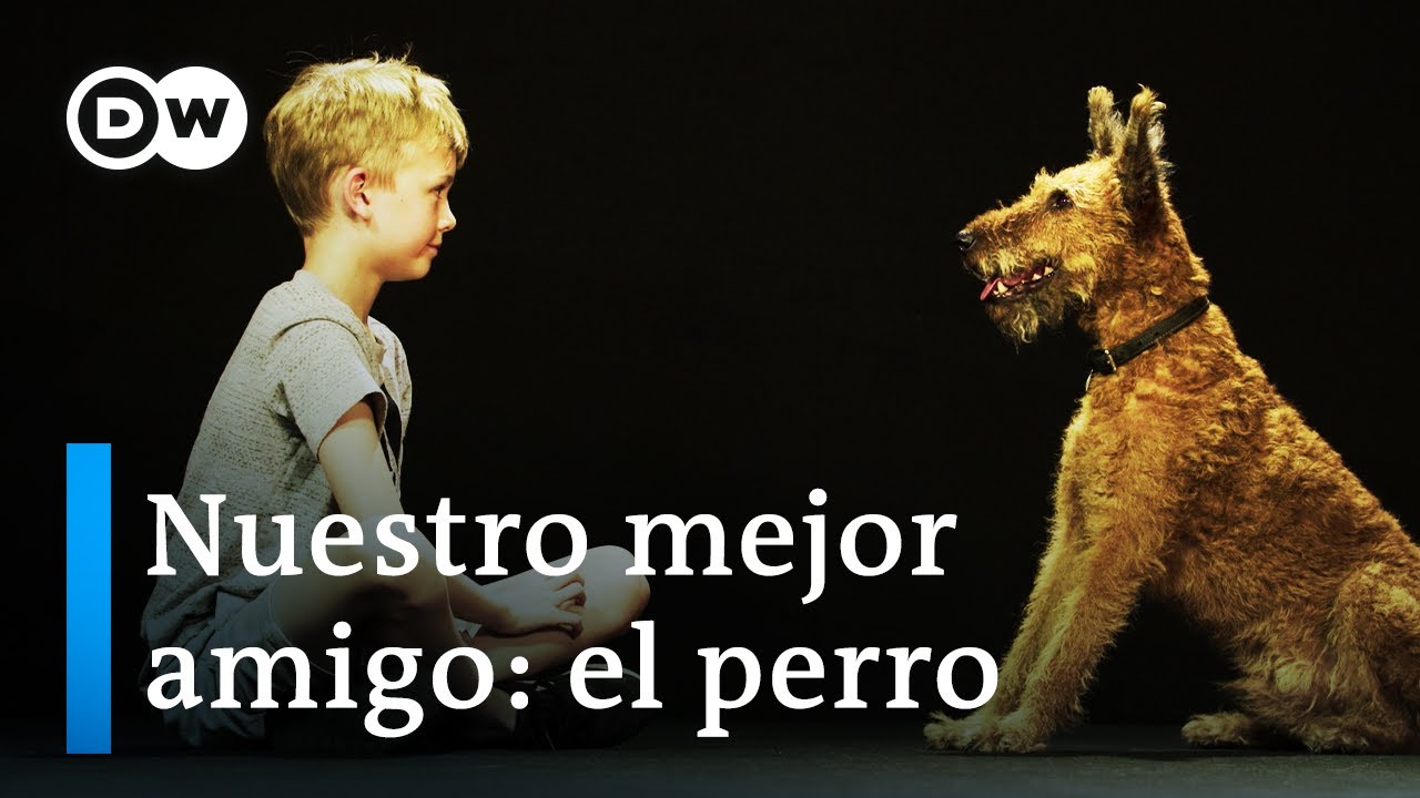 Vínculos emocionales entre humanos y perros - Descubre el Fascinante ...
