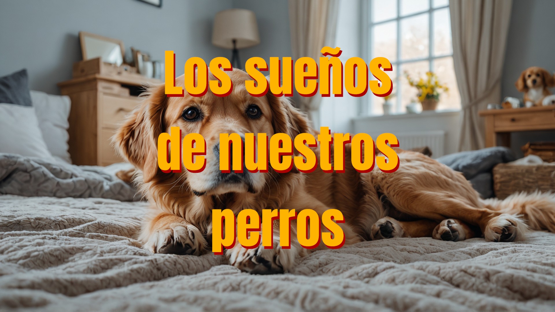 Los sueños de nuestros perros - Descubre el Fascinante Mundo de los Perros